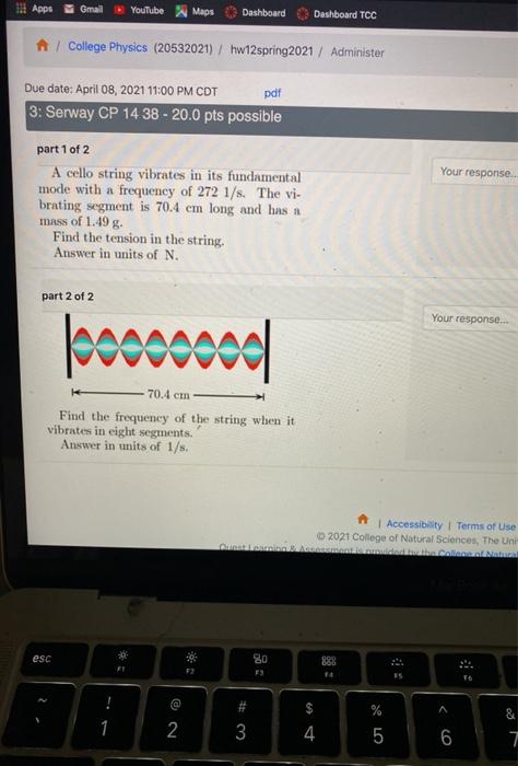 Solved Apps Gmail Youtube Maps Dashboard Dashboard TCC A / | Chegg.com