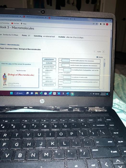 KWeet 3 - Macromolecules Topic Orervien Video: | Chegg.com