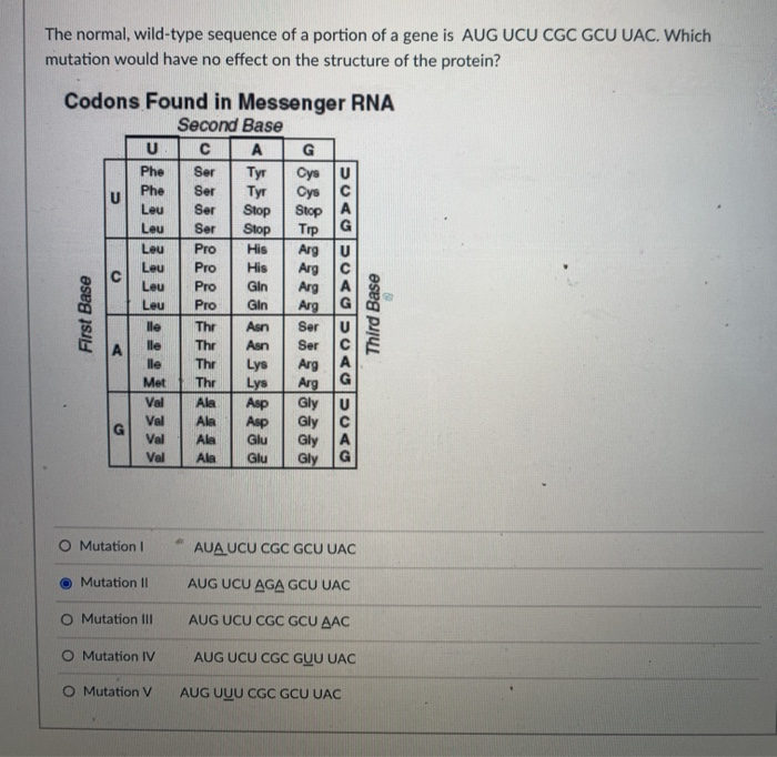 Solved The normal, wild-type sequence of a portion of a gene | Chegg.com