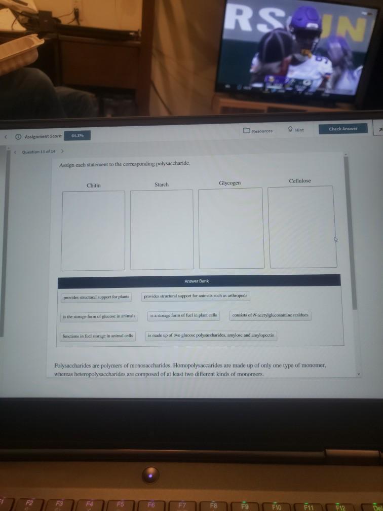 Solved RS-N Resources Hint Check Answer