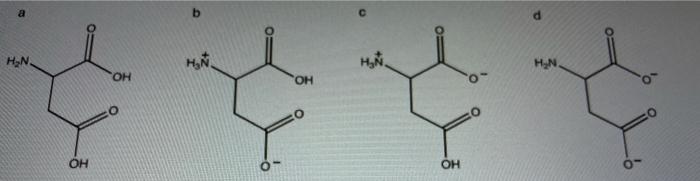 Solved which of the following structures shows the prevalent | Chegg.com