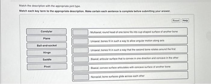 Solved Match the description with the appropriate joint | Chegg.com