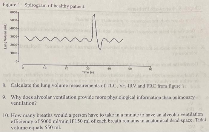 Solved Figure I (Questions 7-8)Figure 1: Spirogram of | Chegg.com