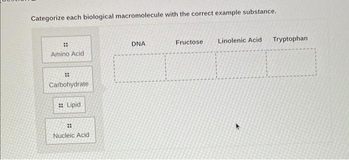 Solved Categorize each biological macromolecule with the | Chegg.com