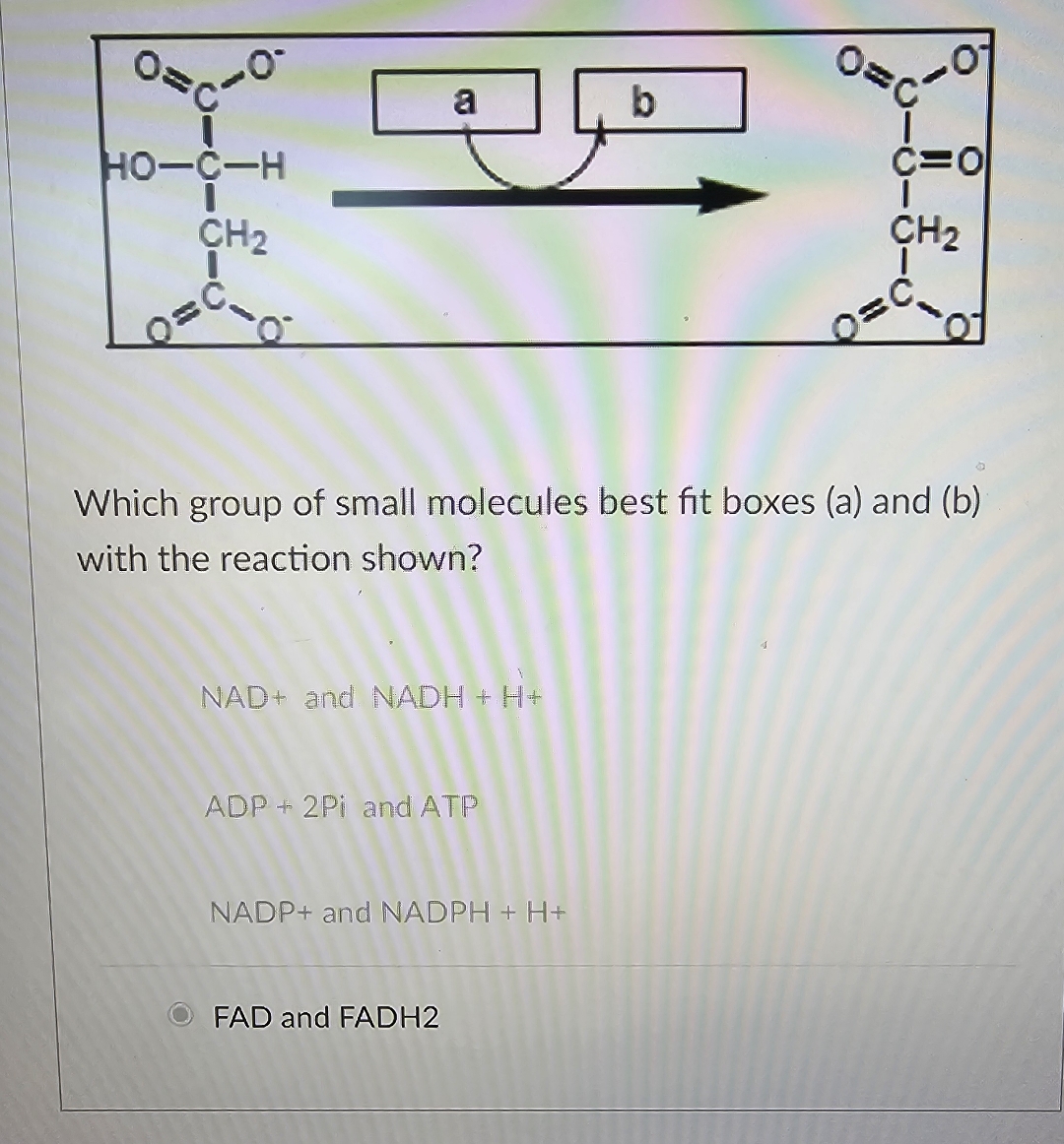 Solved Which group of small molecules best fit boxes (a) | Chegg.com