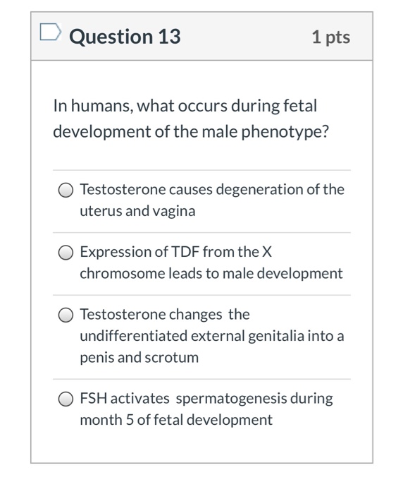 Solved Question 13 1 pts In humans, what occurs during fetal | Chegg.com
