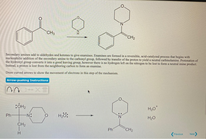 Solved CH3 CH₂ Secondary amines add to aldehydes and ketones | Chegg.com