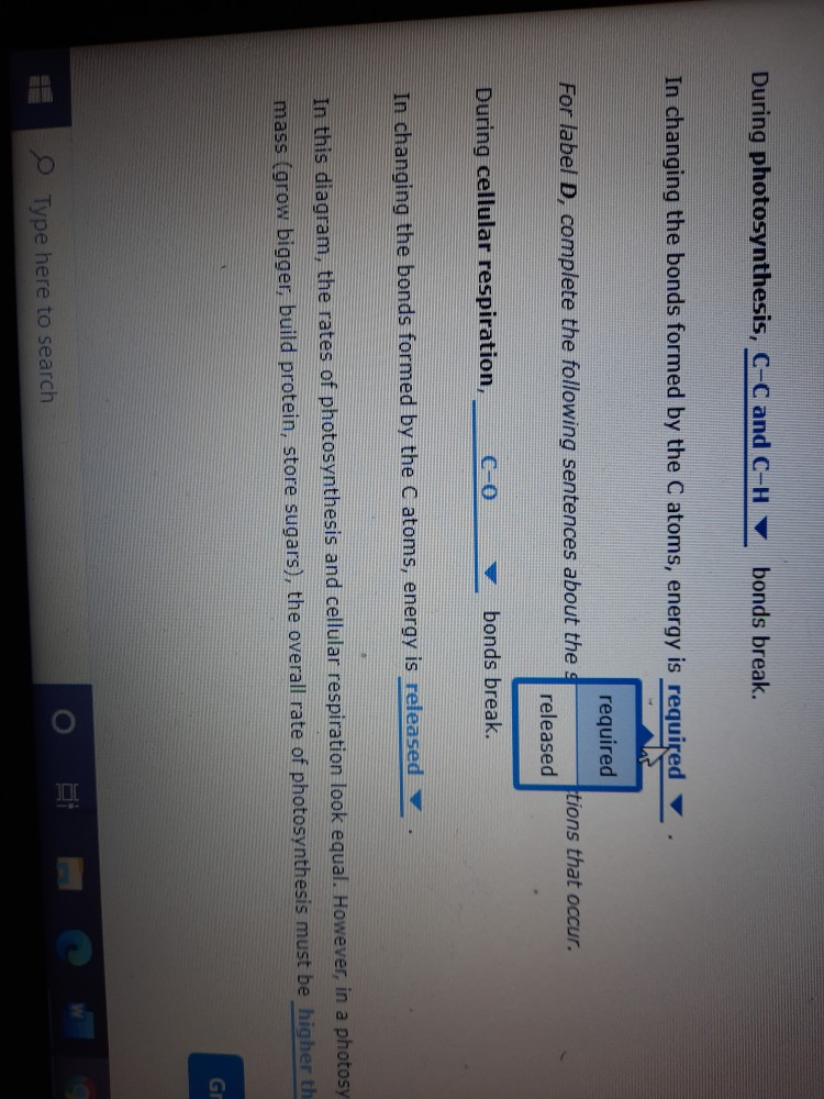 Solved 6. Converting energy in photosynthesis and cellular | Chegg.com