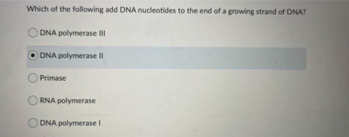 Solved Which of the following add DNA nucleotides to the end | Chegg.com