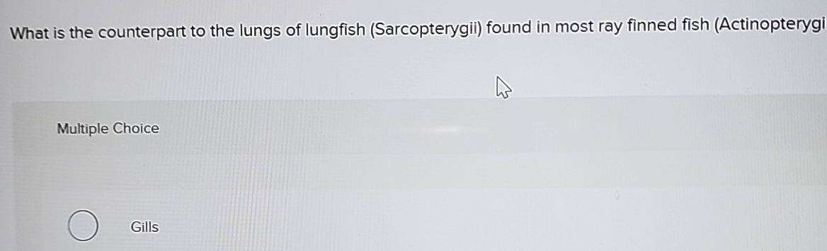 Solved What is the counterpart to the lungs of lungfish | Chegg.com