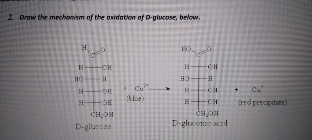 Solved 2. Draw the mechanism of the oxidation of D-glucose, | Chegg.com