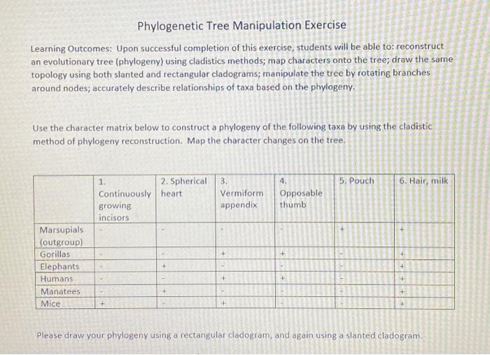 Solved Phylogenetic Tree Manipulation Exercise Learning | Chegg.com
