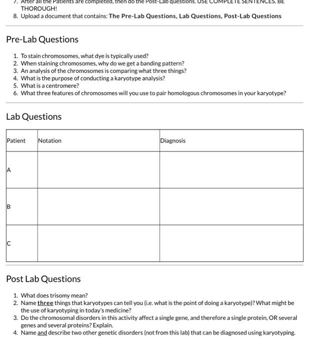 THOROUGH! 8. Upload a document that contains: The | Chegg.com