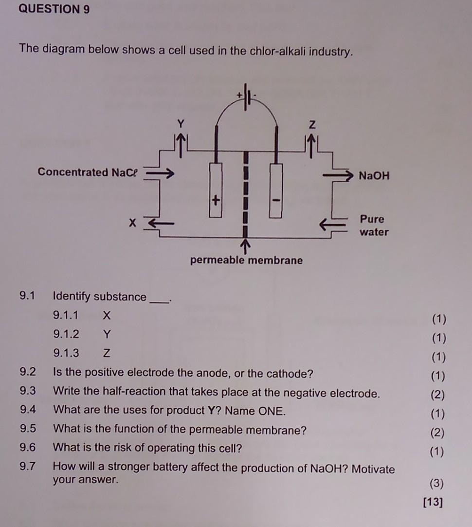 Solved The diagram below shows a cell used in the | Chegg.com