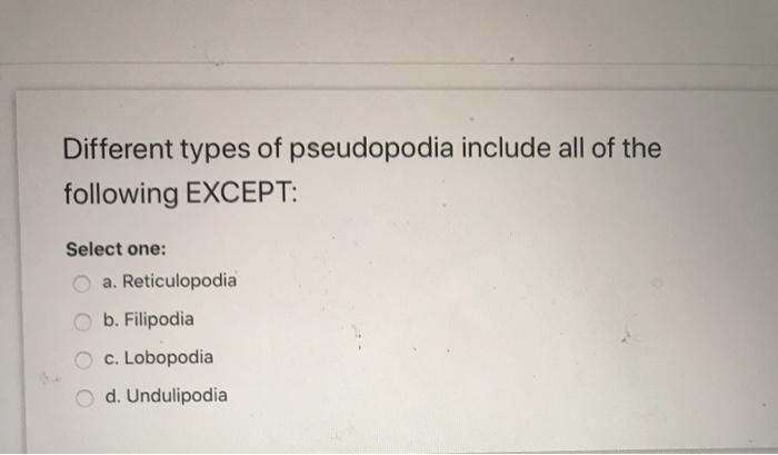 Solved In the clade Alveolata, the recognized phyla do NOT | Chegg.com