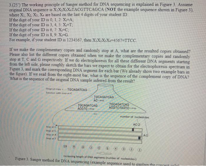 Solved 3.(251) The working principle of Sanger method for | Chegg.com