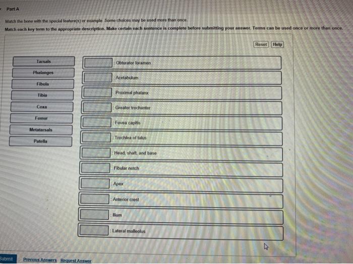 Solved Part A Match the bone with the special feature(s) or | Chegg.com