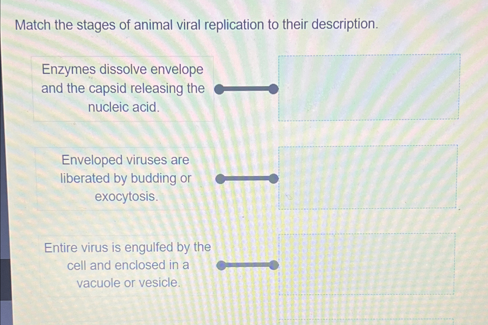 Solved Match the stages of animal viral replication to their | Chegg.com