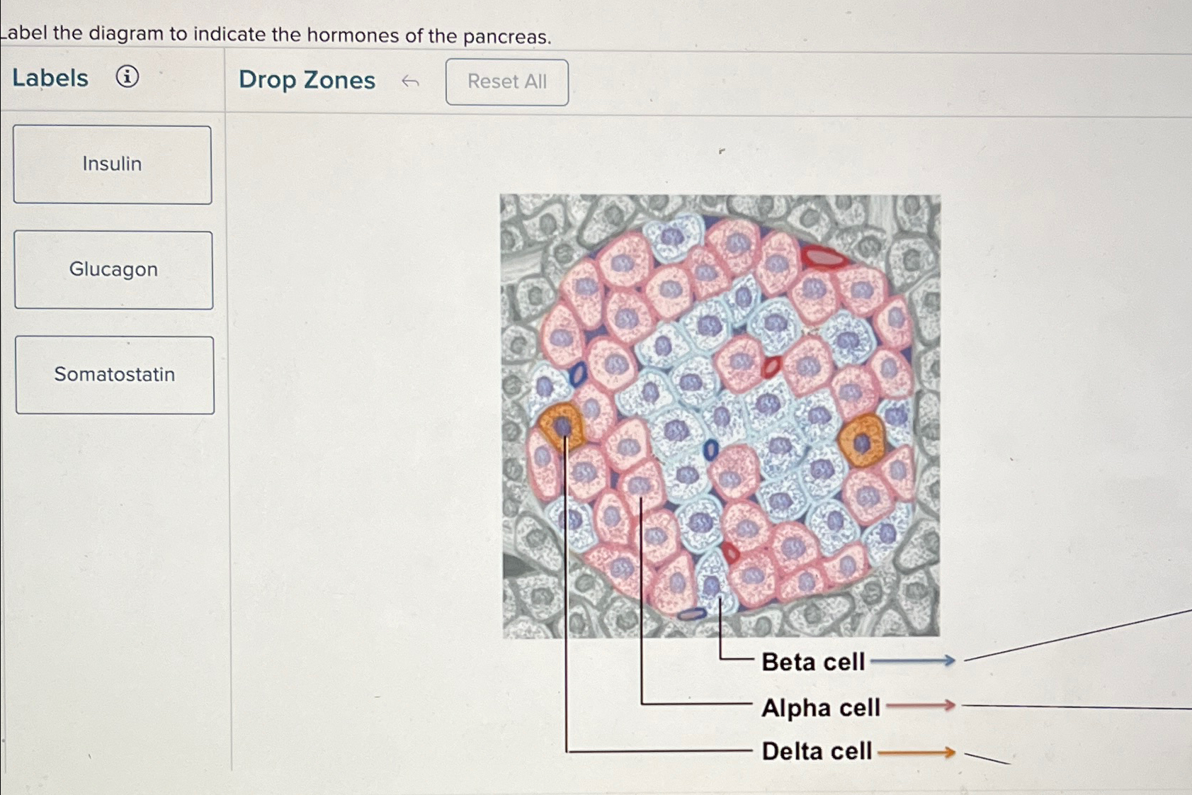 Solved -abel the diagram to indicate the hormones of the | Chegg.com
