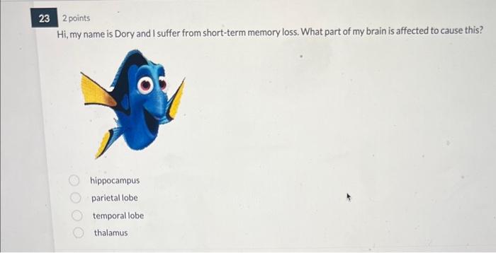 Solved 2 points Hi, my name is Dory and I suffer from | Chegg.com