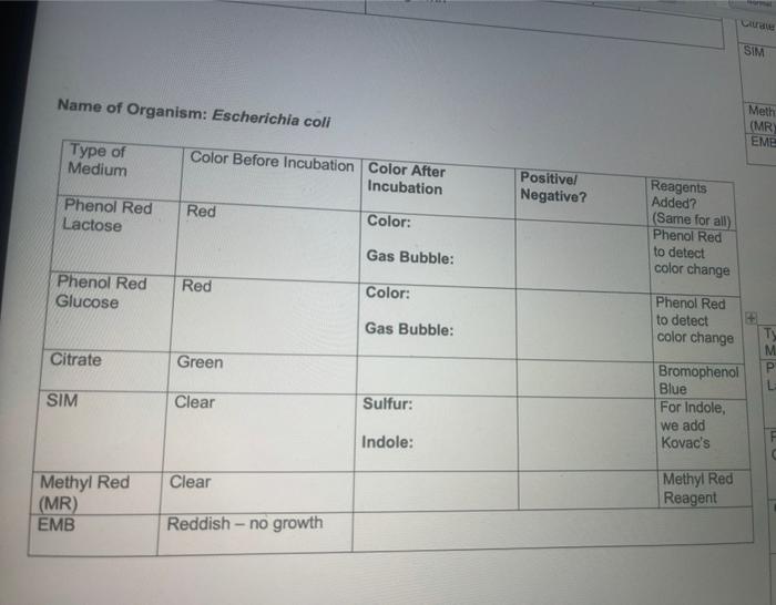 Solved SIM Name of Organism: Escherichia coli Meth (MR EME | Chegg.com