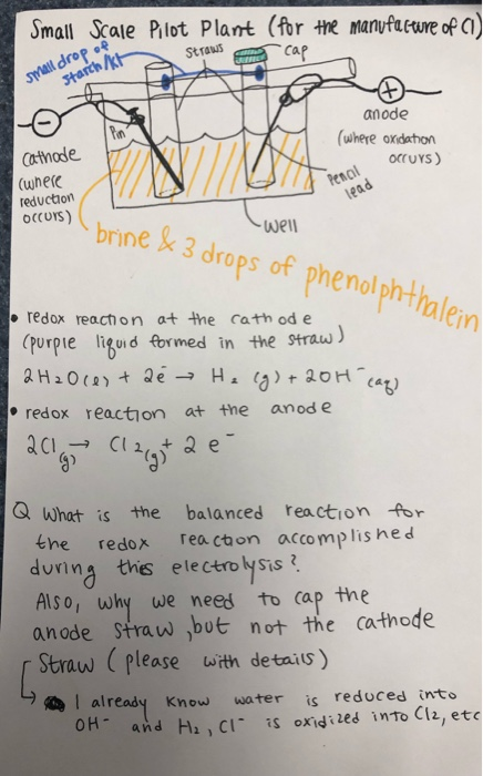 Solved Small Scale Pilot Plant (for the manufacture of a) | Chegg.com