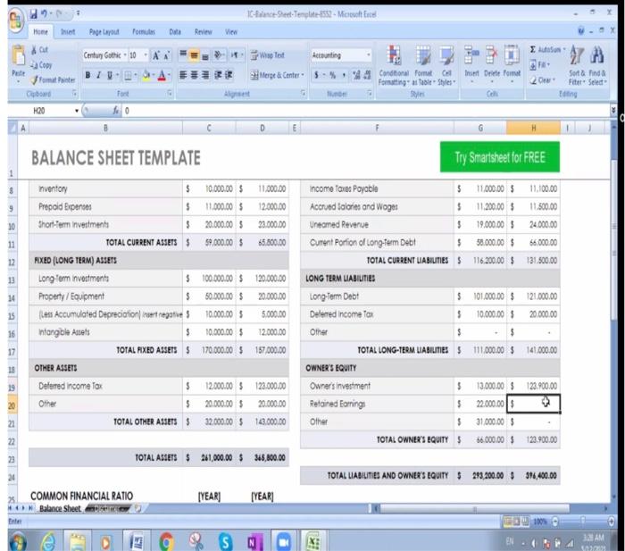BALANCE SHEET TEMPLATE | Chegg.com