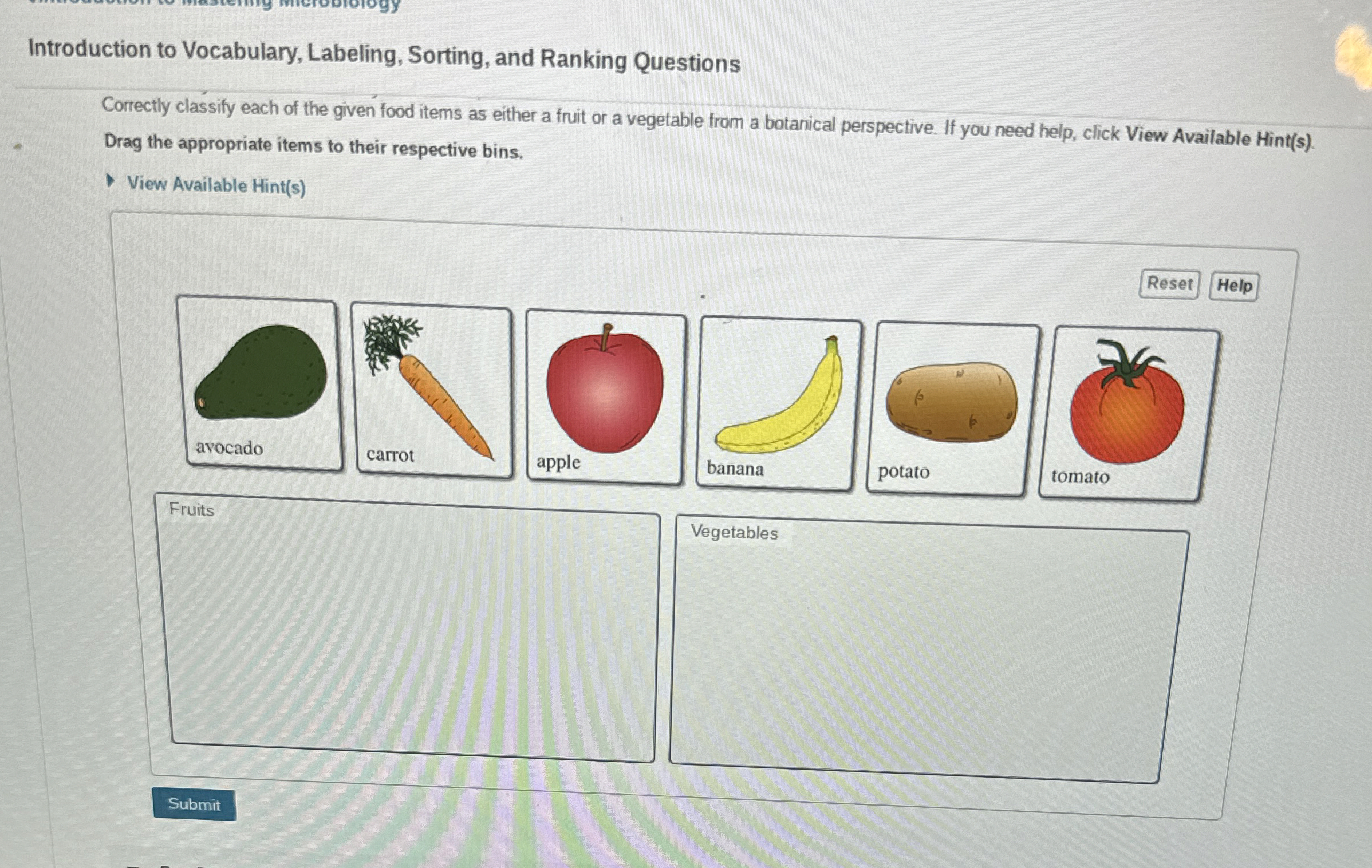 Solved Introduction to Vocabulary, Labeling, Sorting, and | Chegg.com