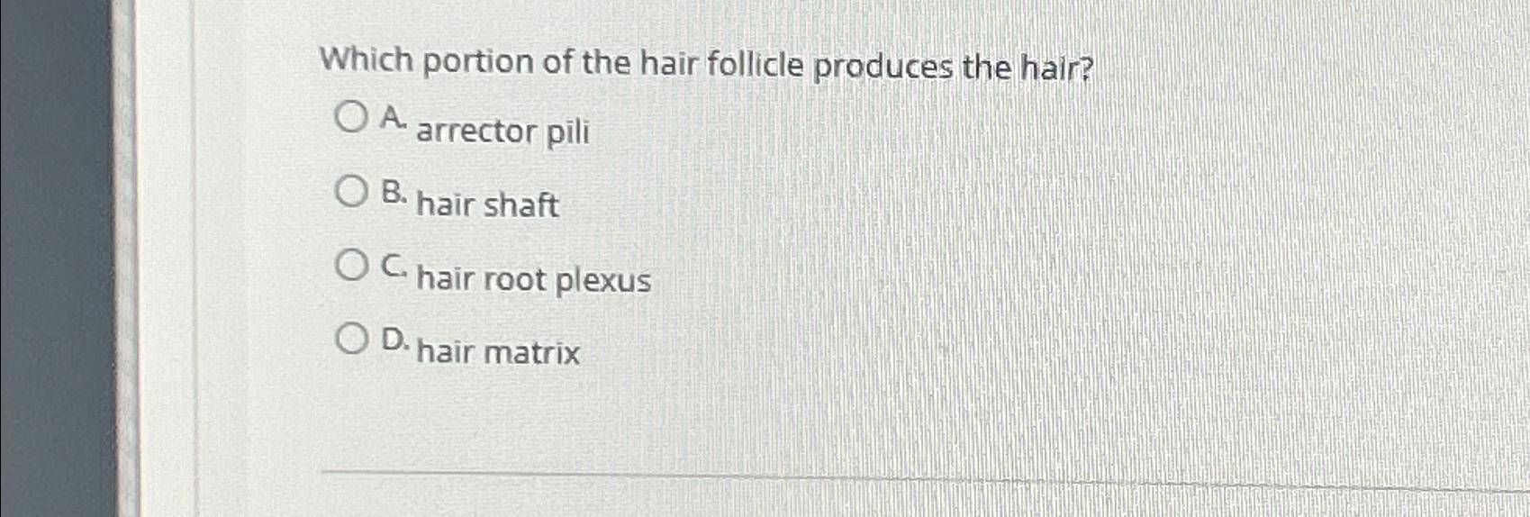 Solved Which portion of the hair follicle produces the | Chegg.com