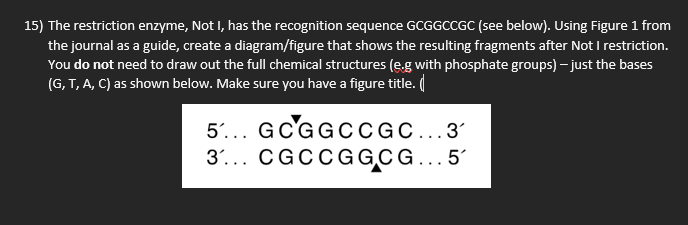 Solved The restriction enzyme, Not I, has the recognition | Chegg.com