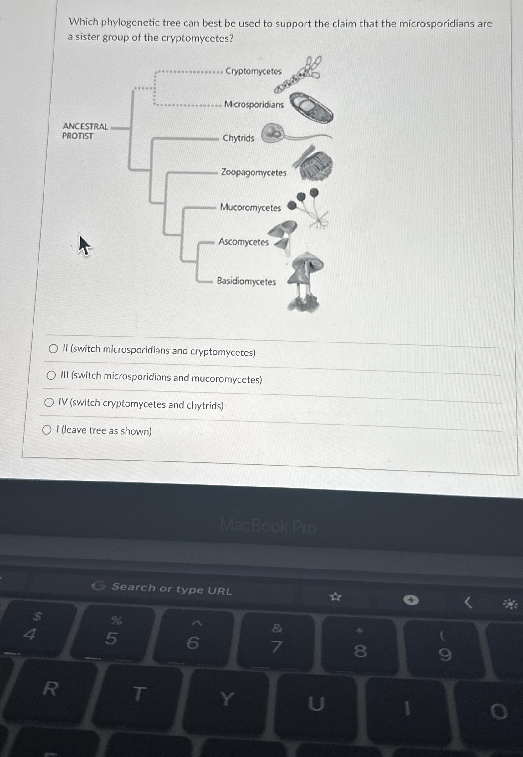 Solved Which phylogenetic tree can best be used to support | Chegg.com