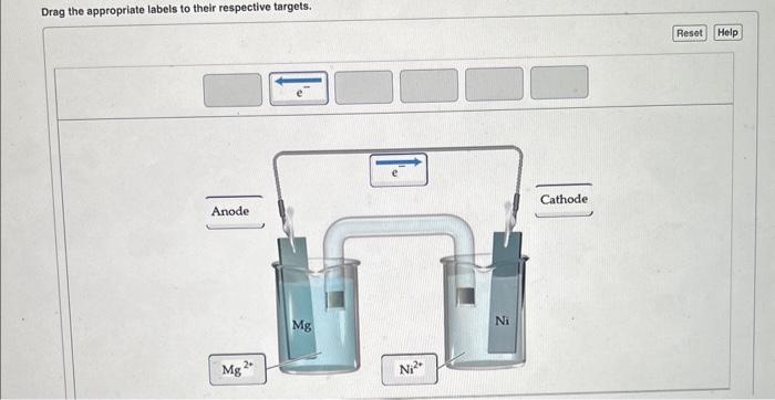 Solved Drag the appropriate labels to their respective | Chegg.com