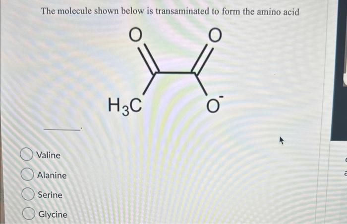Solved The molecule shown below is transaminated to form the | Chegg.com