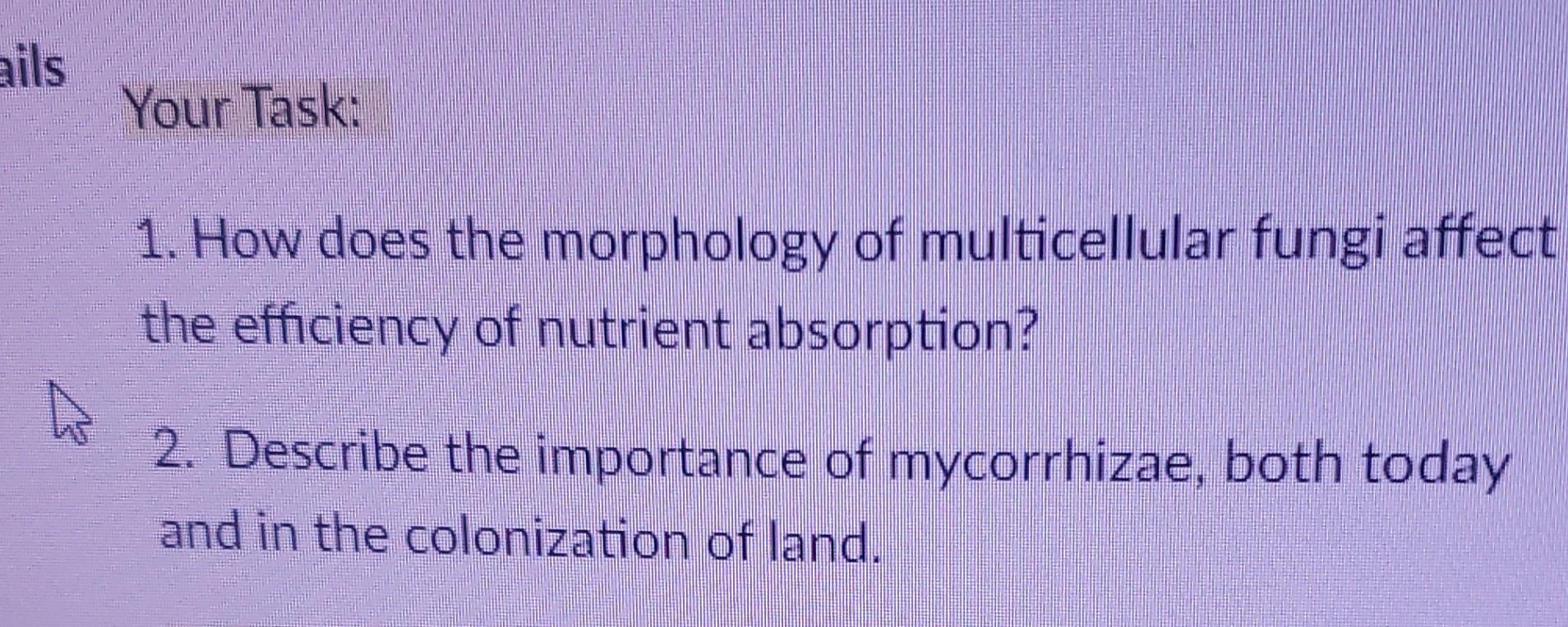 Solved Your Task: 1. How does the morphology of | Chegg.com Solved Your Task: 1. How does the morphology of | Chegg.com