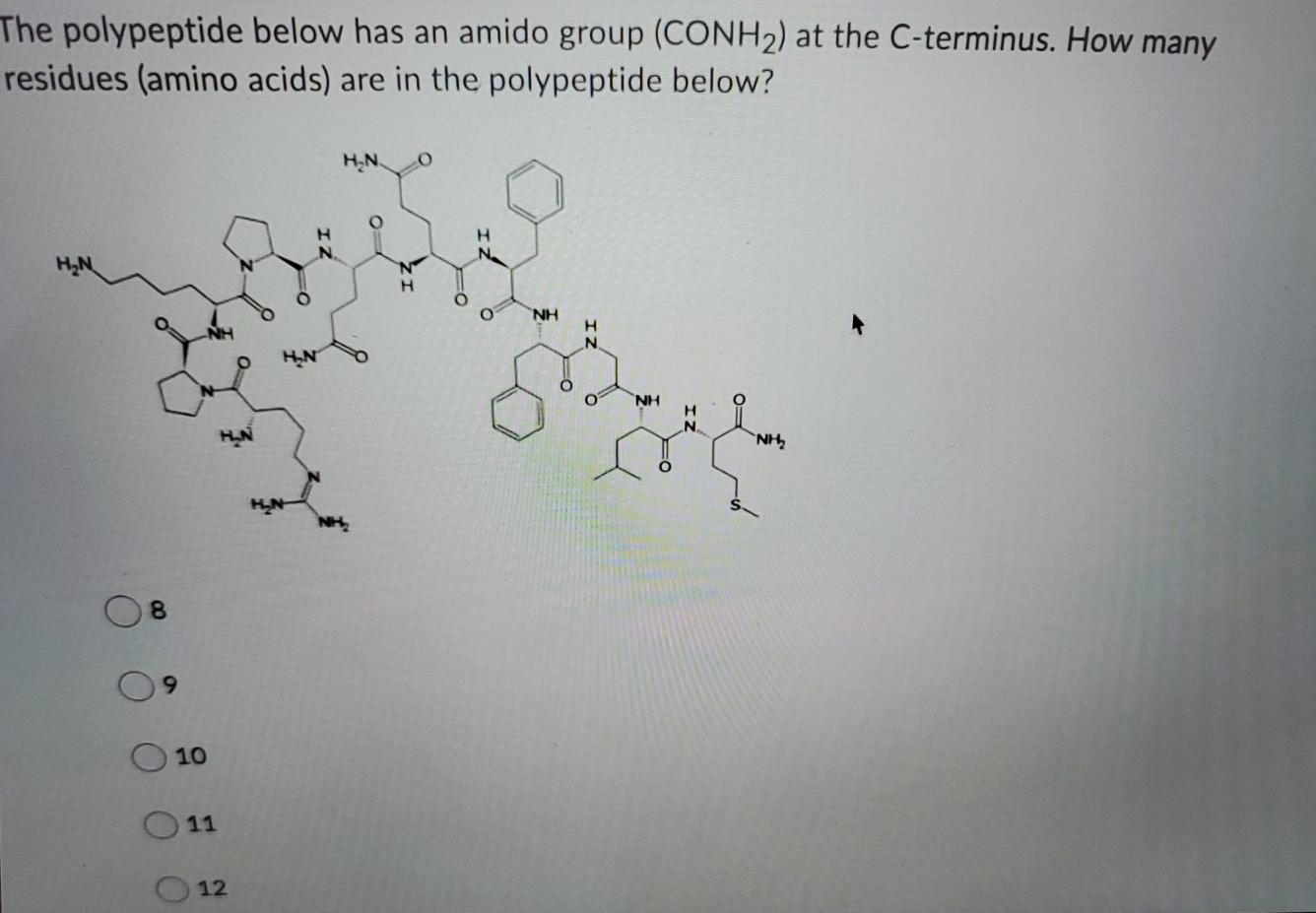 Solved The polypeptide below has an amido group (CONH2) at | Chegg.com