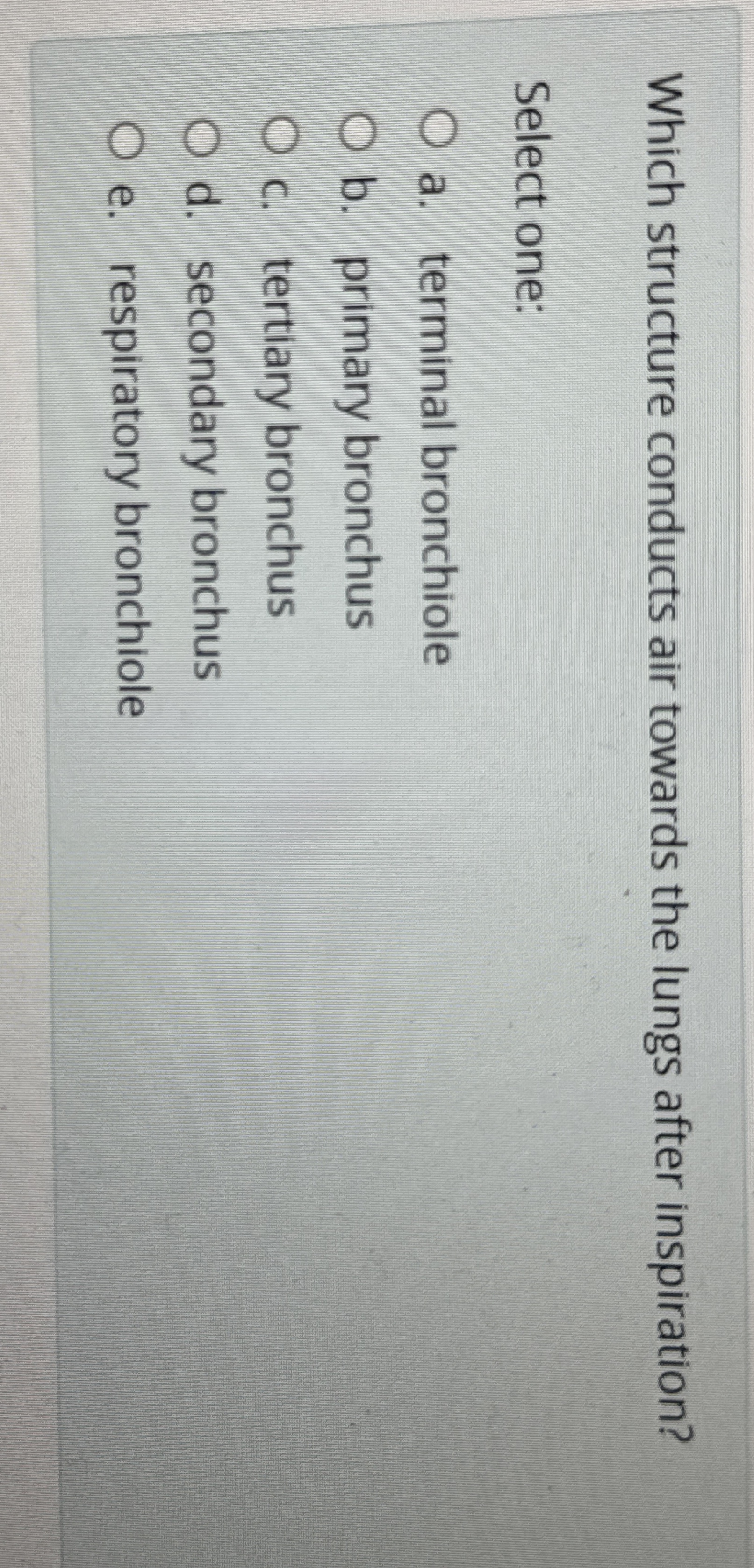 Solved Which structure conducts air towards the lungs after | Chegg.com