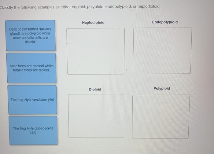 Solved Classify the following examples as either euploid, | Chegg.com