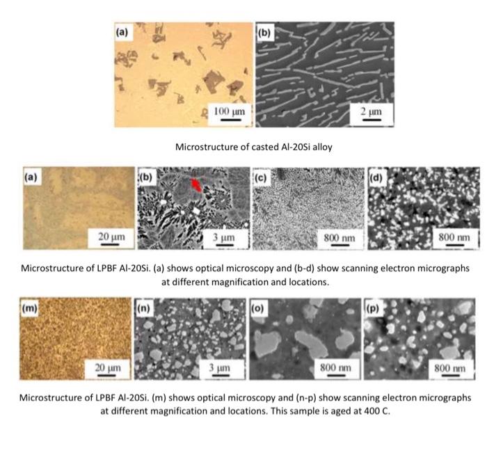 Solved In the following, microstructure of cast and LPBF | Chegg.com