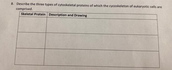 Solved Describe the three types of cytoskeletal proteins of | Chegg.com