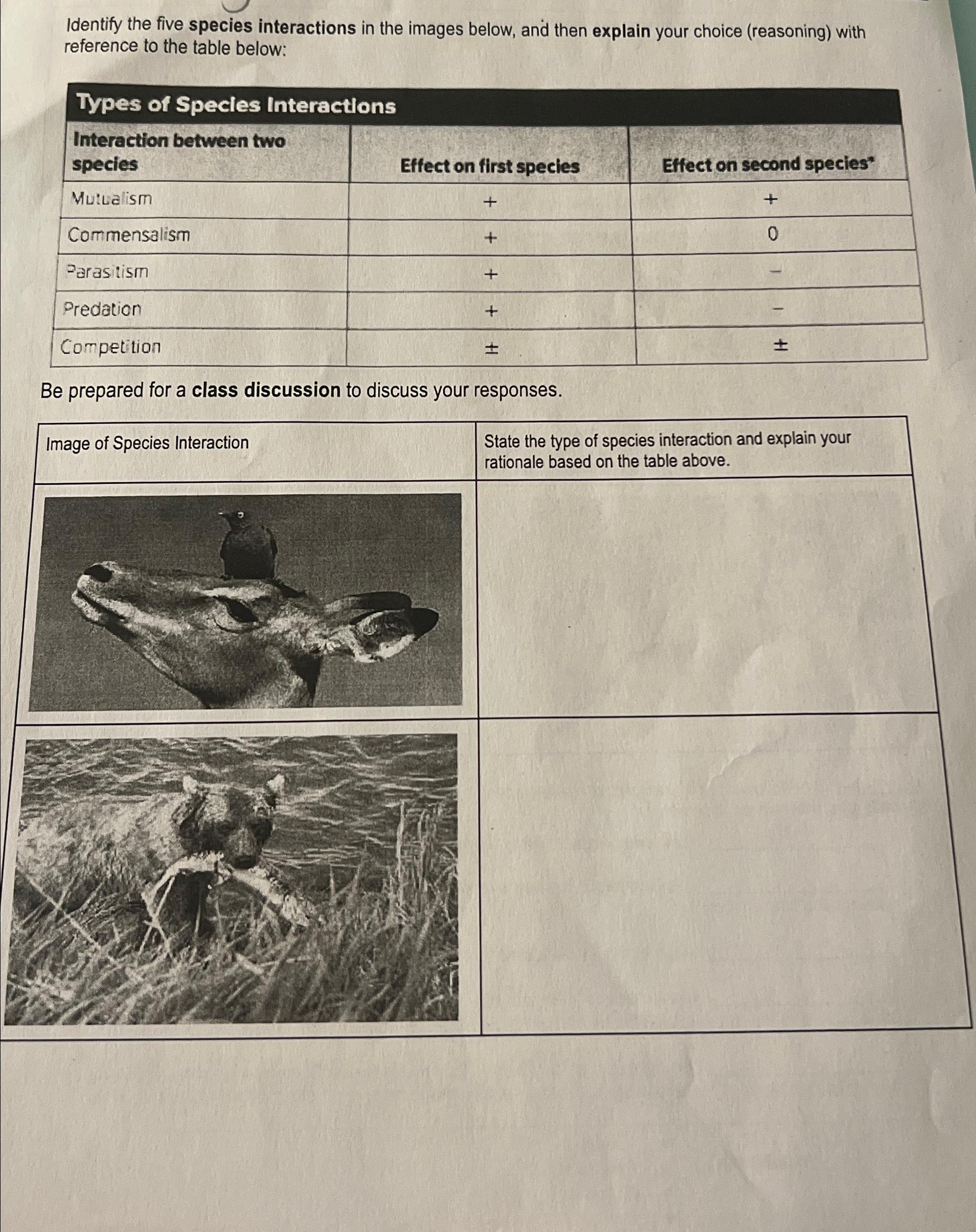 Solved Identify the five species interactions in the images | Chegg.com