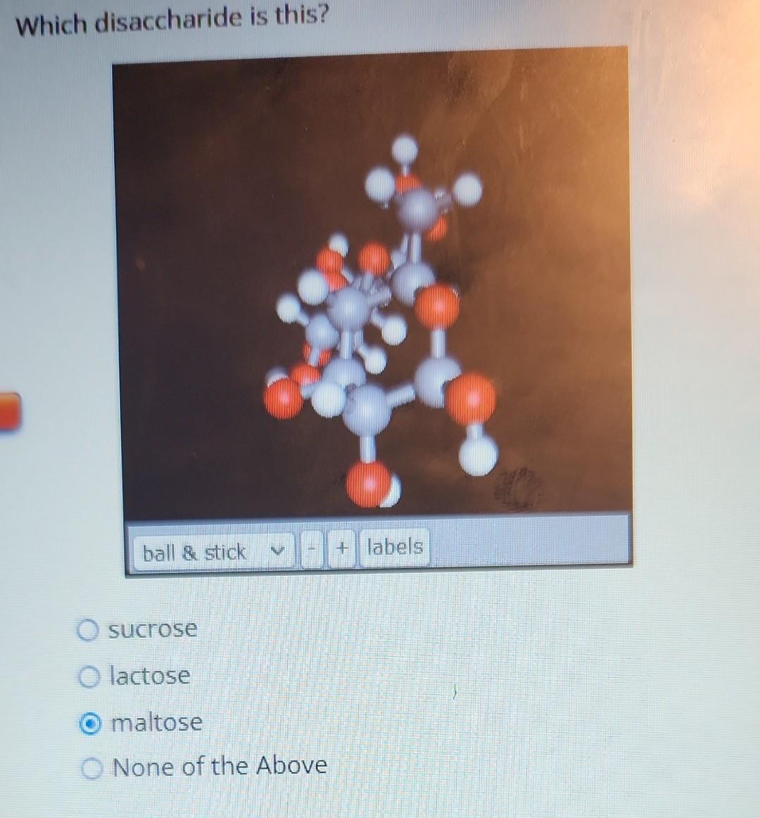 Solved Which disaccharide is this? sucrose lactose maltose | Chegg.com