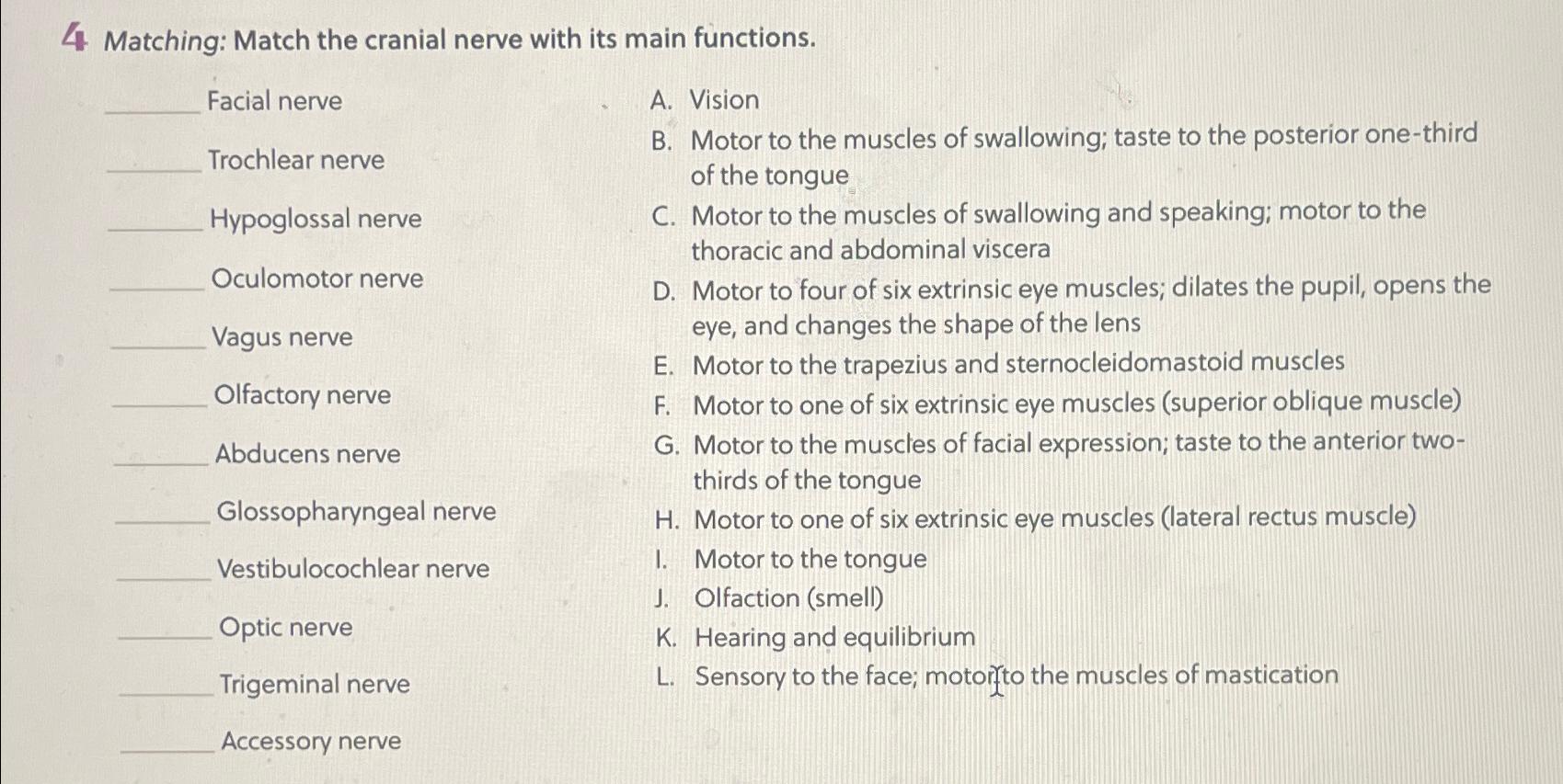 Solved Matching: Match the cranial nerve with its main | Chegg.com