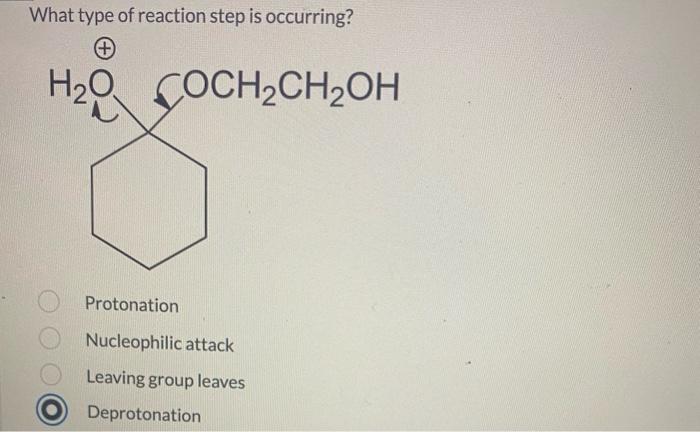 Solved What type of reaction step is occurring? Protonation | Chegg.com