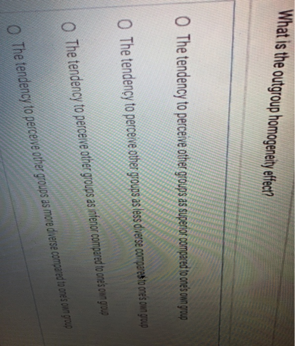 Solved What is the outgroup homogeneity effect? O The | Chegg.com
