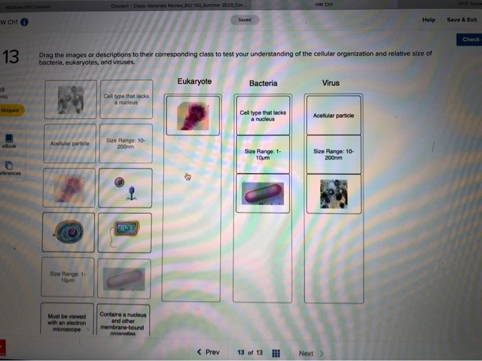 Solved Connect - Class Materials Review. BIO 150 Summer | Chegg.com