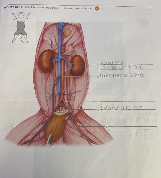 Solved LABORATORY Date Section The corespends to the | Chegg.com