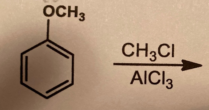 Solved Draw the structure of the main monosubstitution | Chegg.com