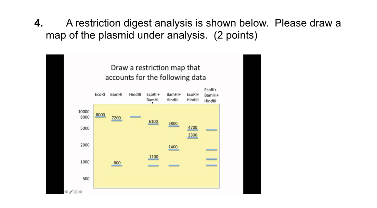 Solved How to solve A restriction digest analysis is shown | Chegg.com