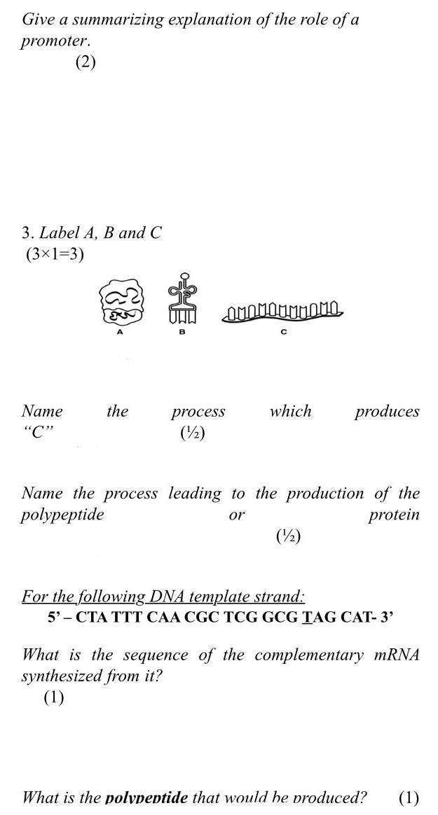 Solved Give a summarizing explanation of the role of a | Chegg.com