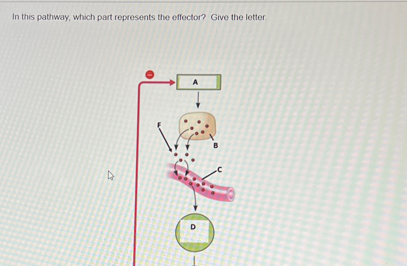 Solved In this pathway, which part represents the effector? | Chegg.com